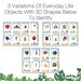 Safari Classroom Theme | 3D Shapes | Math Shape Posters | Printable 3D ...