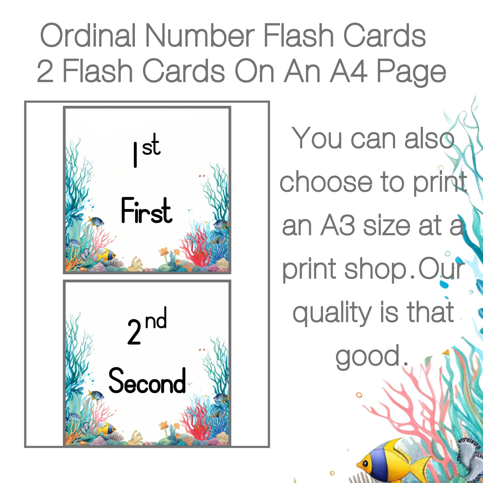 Under the Sea Classroom Theme | Ordinal Numbers Poster | Editable ...