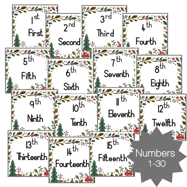 Owl Theme Classroom | Ordinal Numbers Poster | Editable Flashcards ...