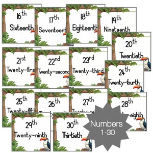 Jungle Classroom Theme | Ordinal Numbers Poster | Editable Flashcards ...