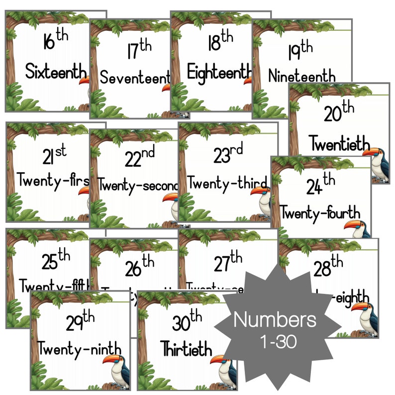 Jungle Classroom Theme | Ordinal Numbers Poster | Editable Flashcards ...