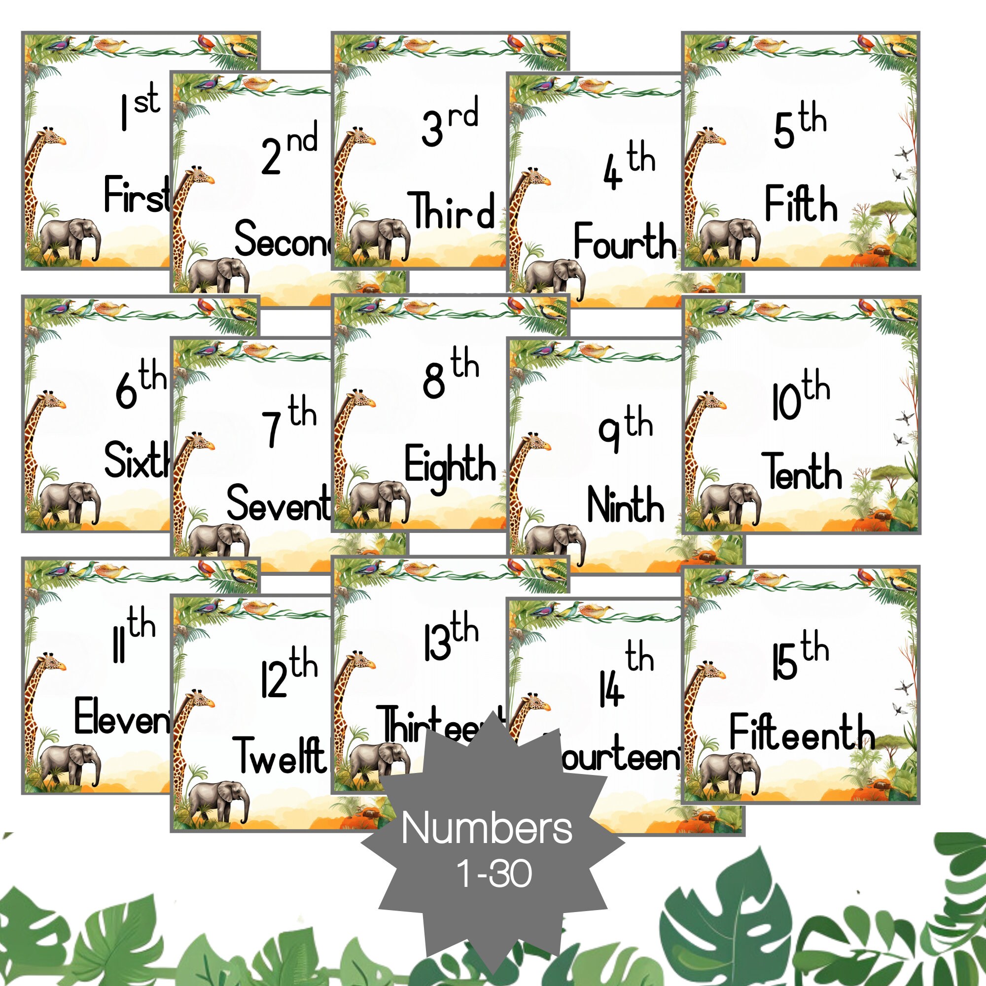 Safari Classroom Theme Ordinal Numbers Poster Editable Flashcards ...