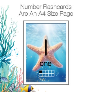 Under the Sea Classroom Theme | Number Flashcards | Number Posters ...