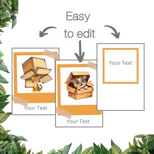Jungle Classroom Theme | Prepositions | Learning Positions With ...