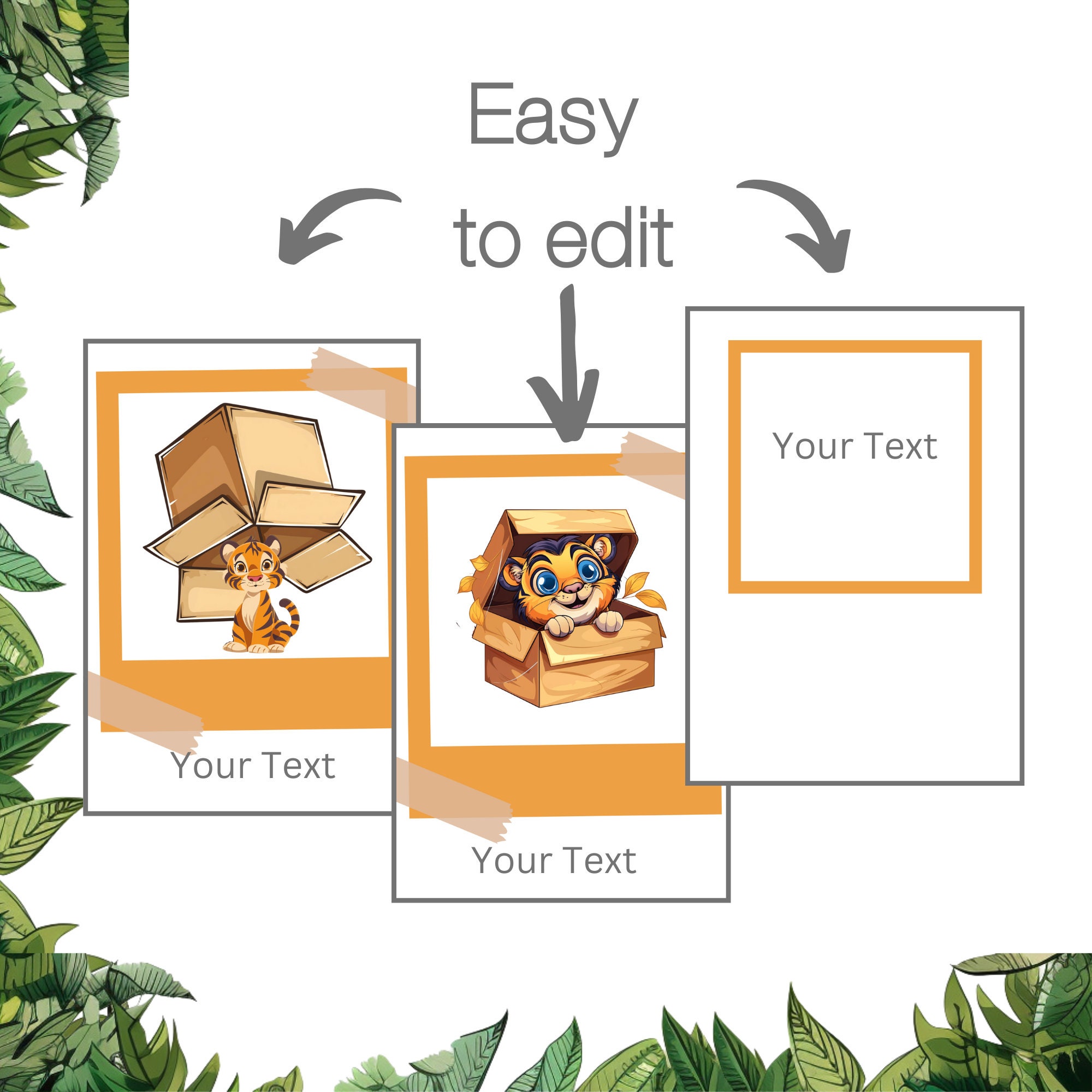 Jungle Classroom Theme | Prepositions | Learning Positions With ...