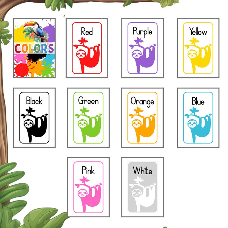 Jungle Classroom Theme | Color Flashcards | Color Recognition ...