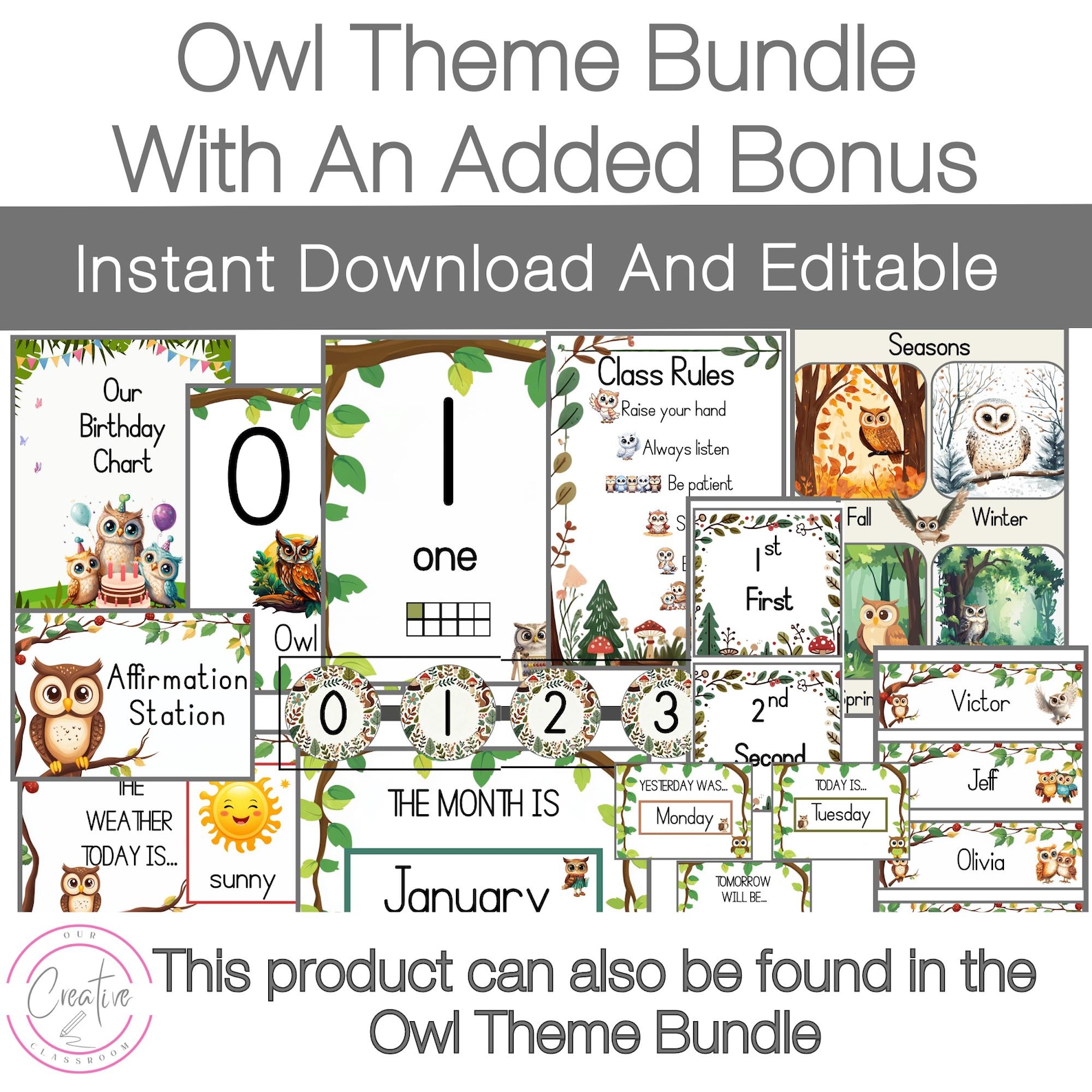 Owl Theme Classroom Rules Posters Printable - Class Rules Posters for ...