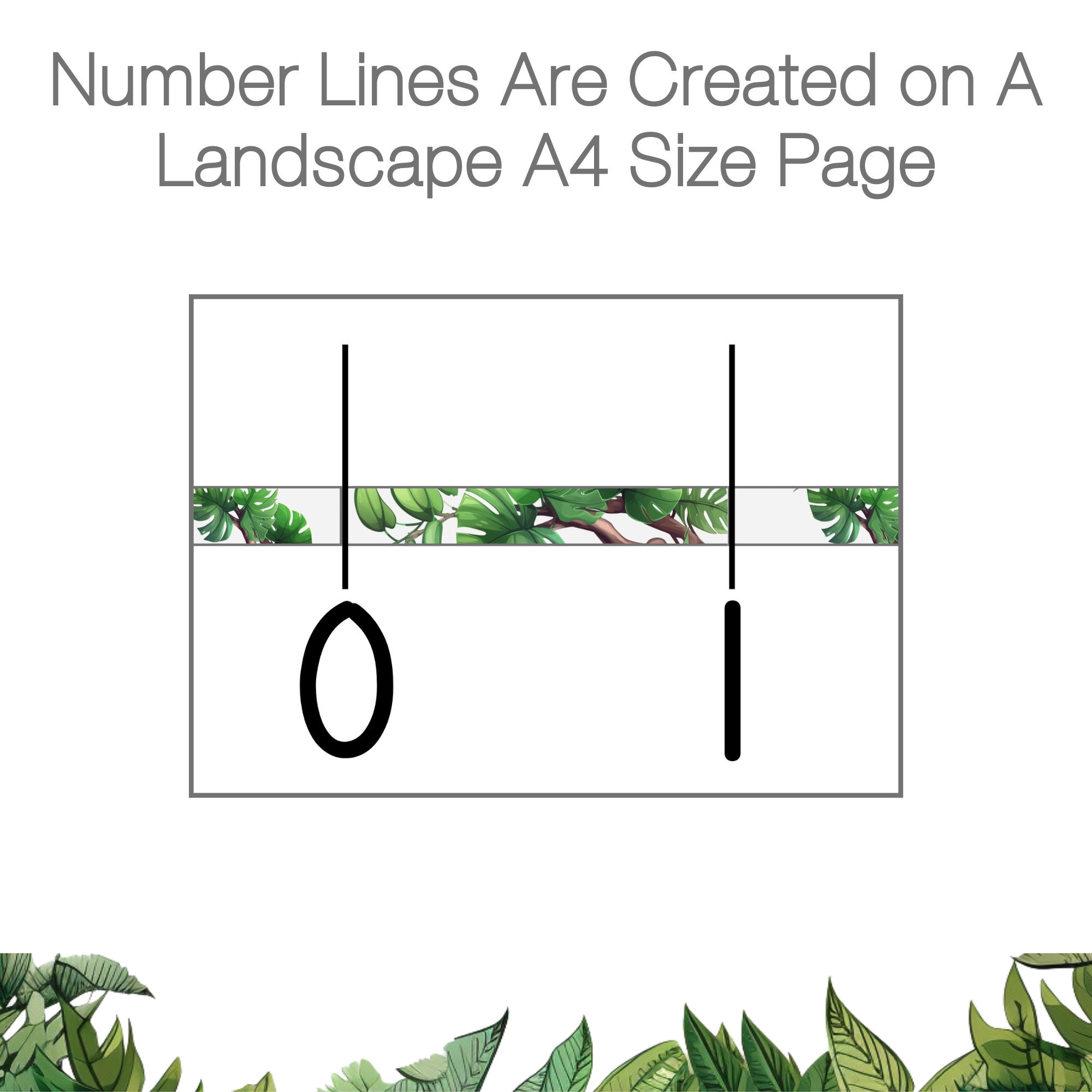 Jungle Classroom Theme | Number Lines | 2 Various Styles of Number ...