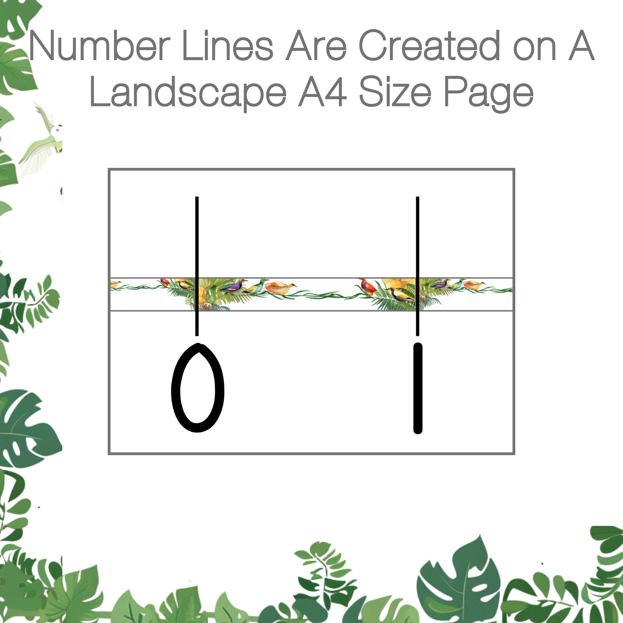 Safari Classroom Theme | Number Lines | 2 Various Styles of Number ...