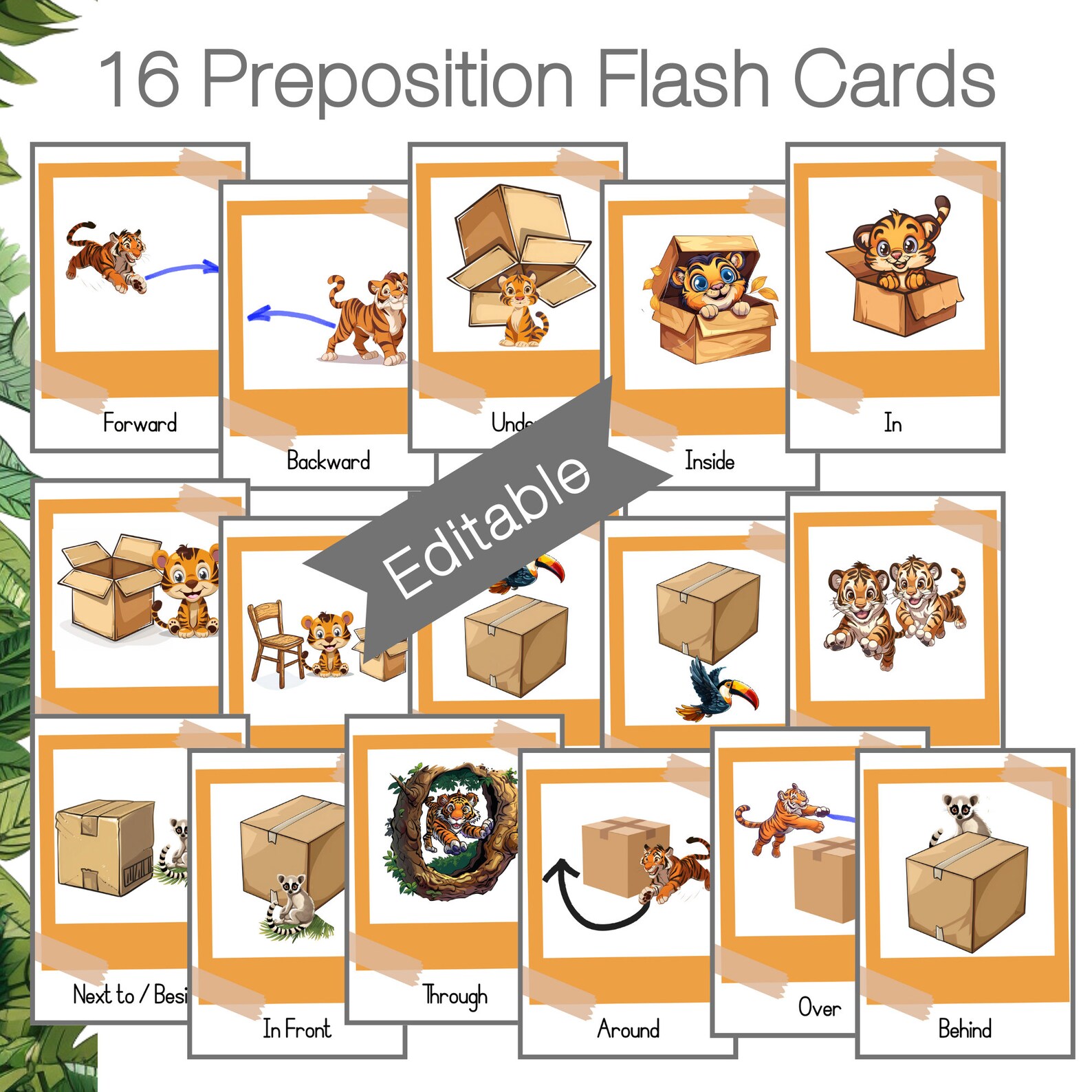 Jungle Classroom Theme | Prepositions | Learning Positions With ...