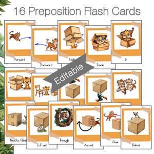 Jungle Classroom Theme | Prepositions | Learning Positions With ...
