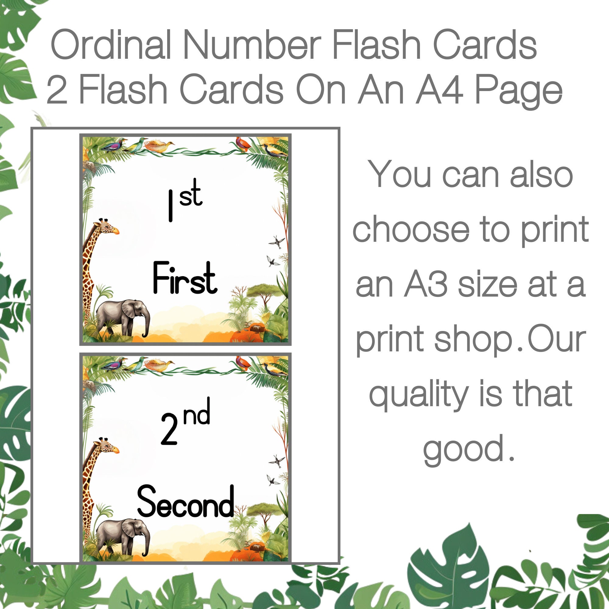 Safari Classroom Theme | Ordinal Numbers Poster | Editable Flashcards ...