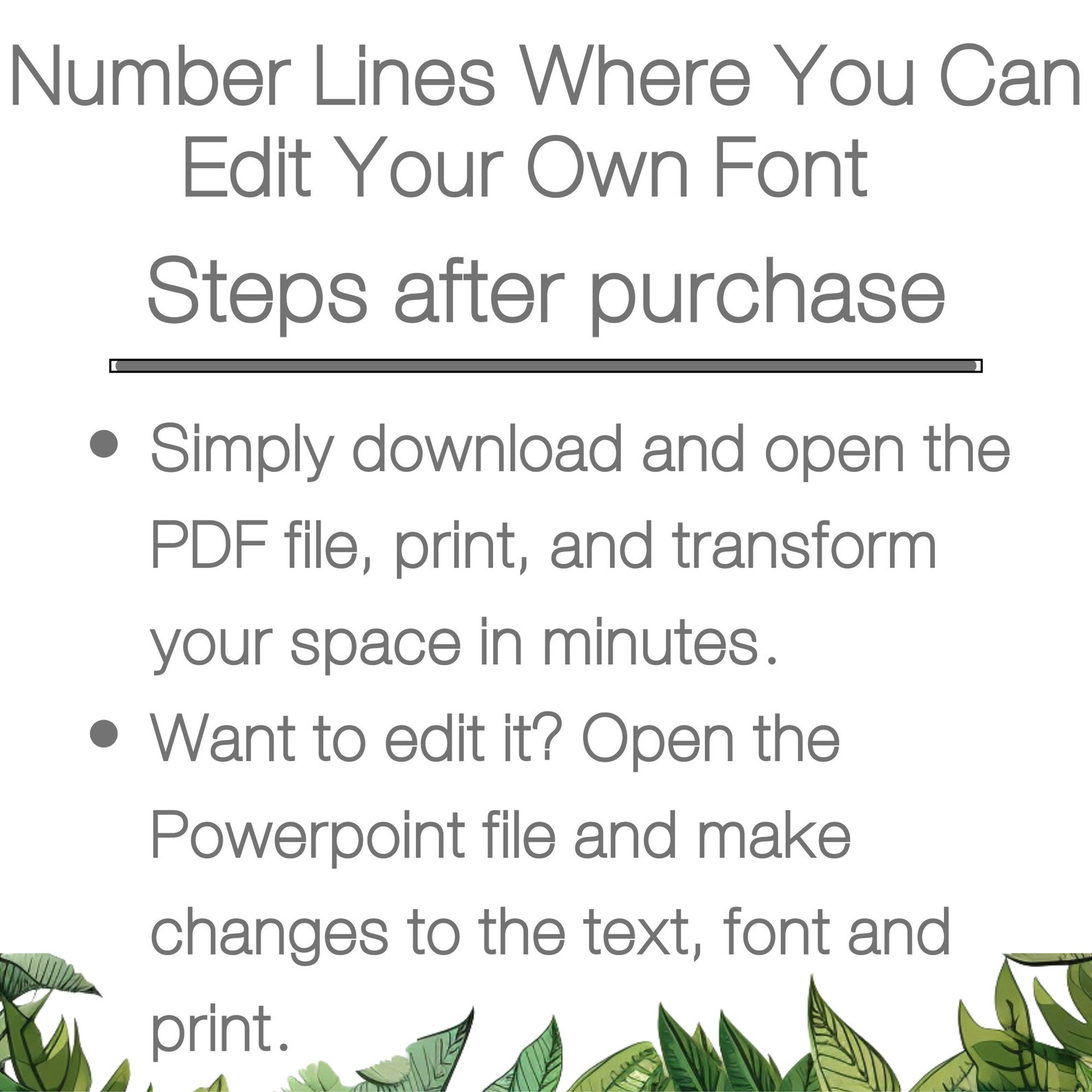 Jungle Classroom Theme | Number Lines | 2 Various Styles of Number ...