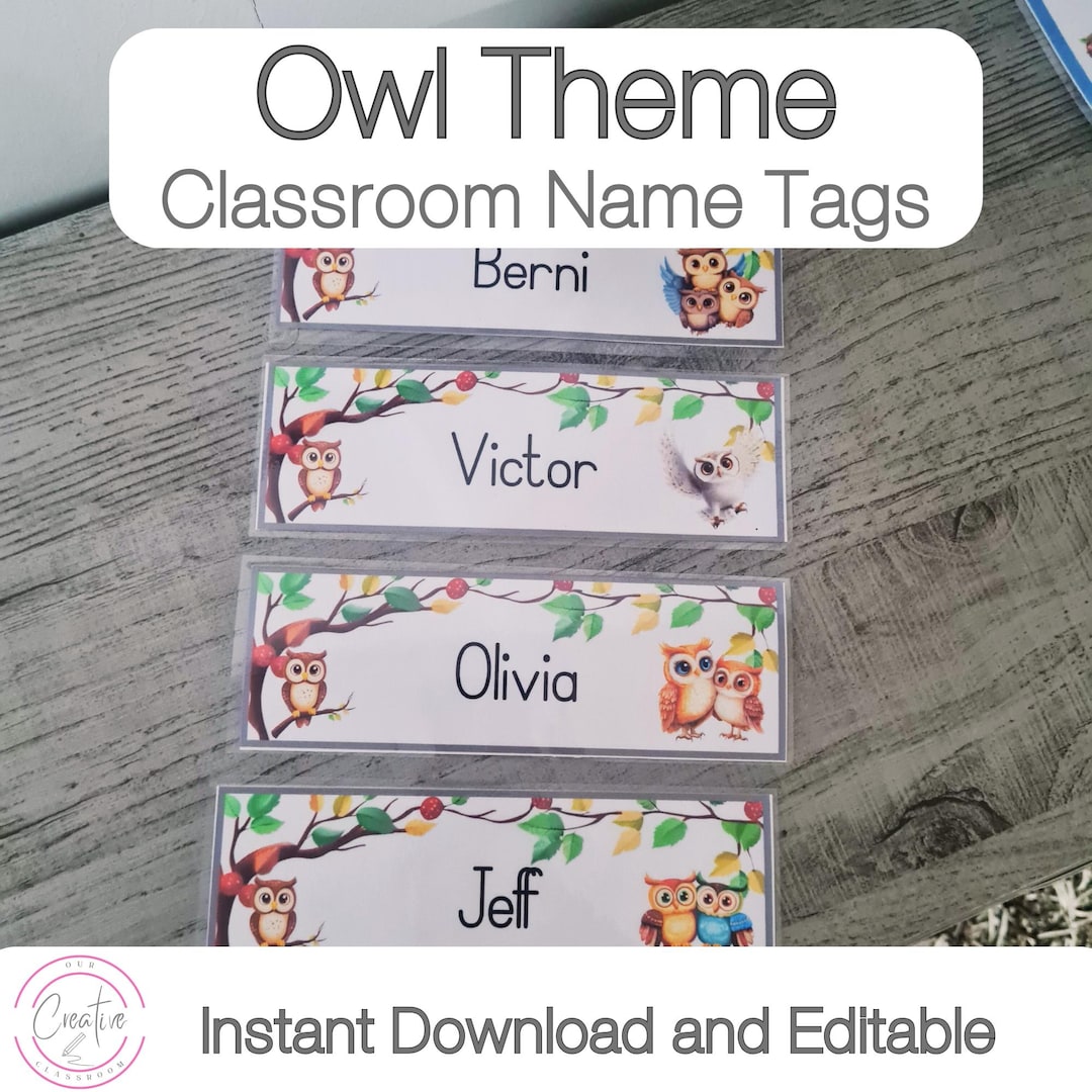 Owl Theme Classroom Name Tags Printable - Name Tags for Little Learners ...