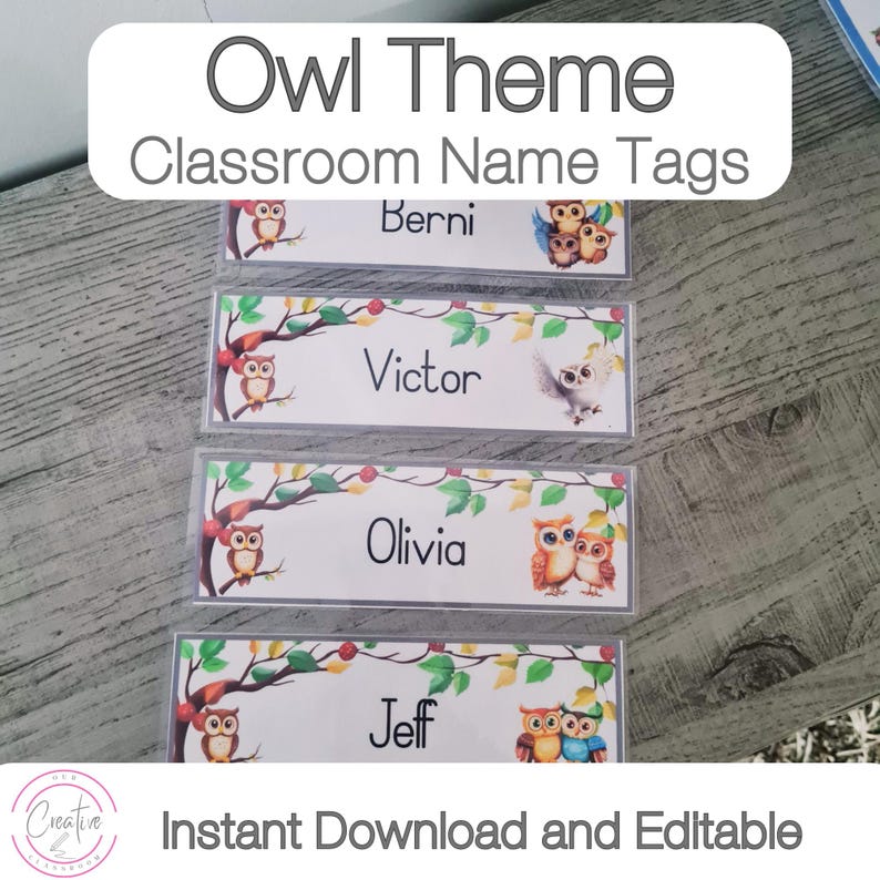 Owl Theme Classroom Name Tags Printable - Name Tags for Little Learners ...
