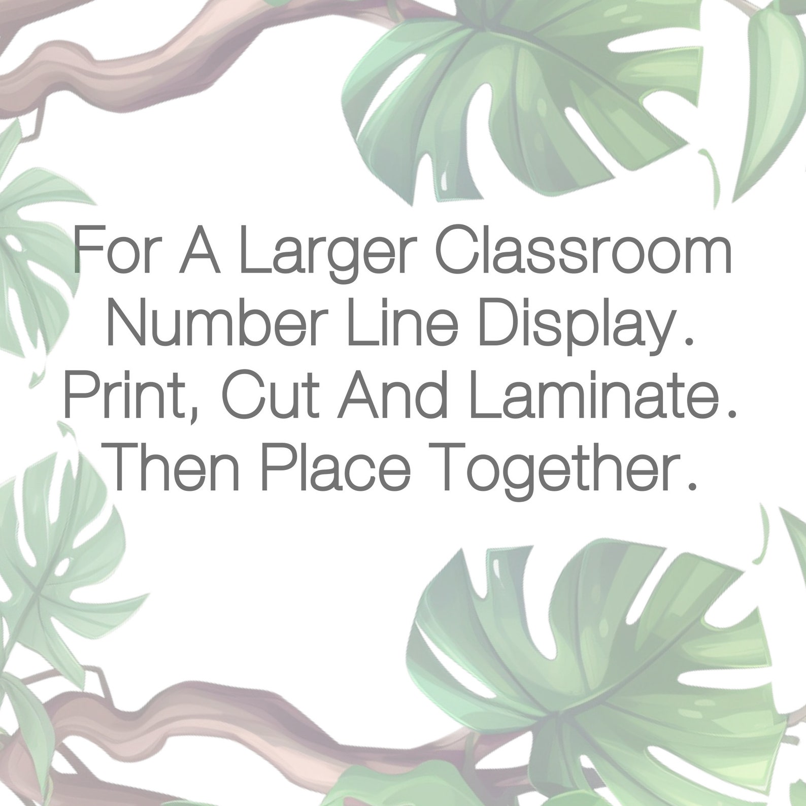 Jungle Classroom Theme | Number Lines | 2 Various Styles of Number ...