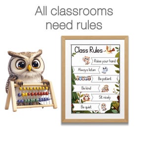 Owl Theme Classroom Rules Posters Printable - Class Rules Posters for ...