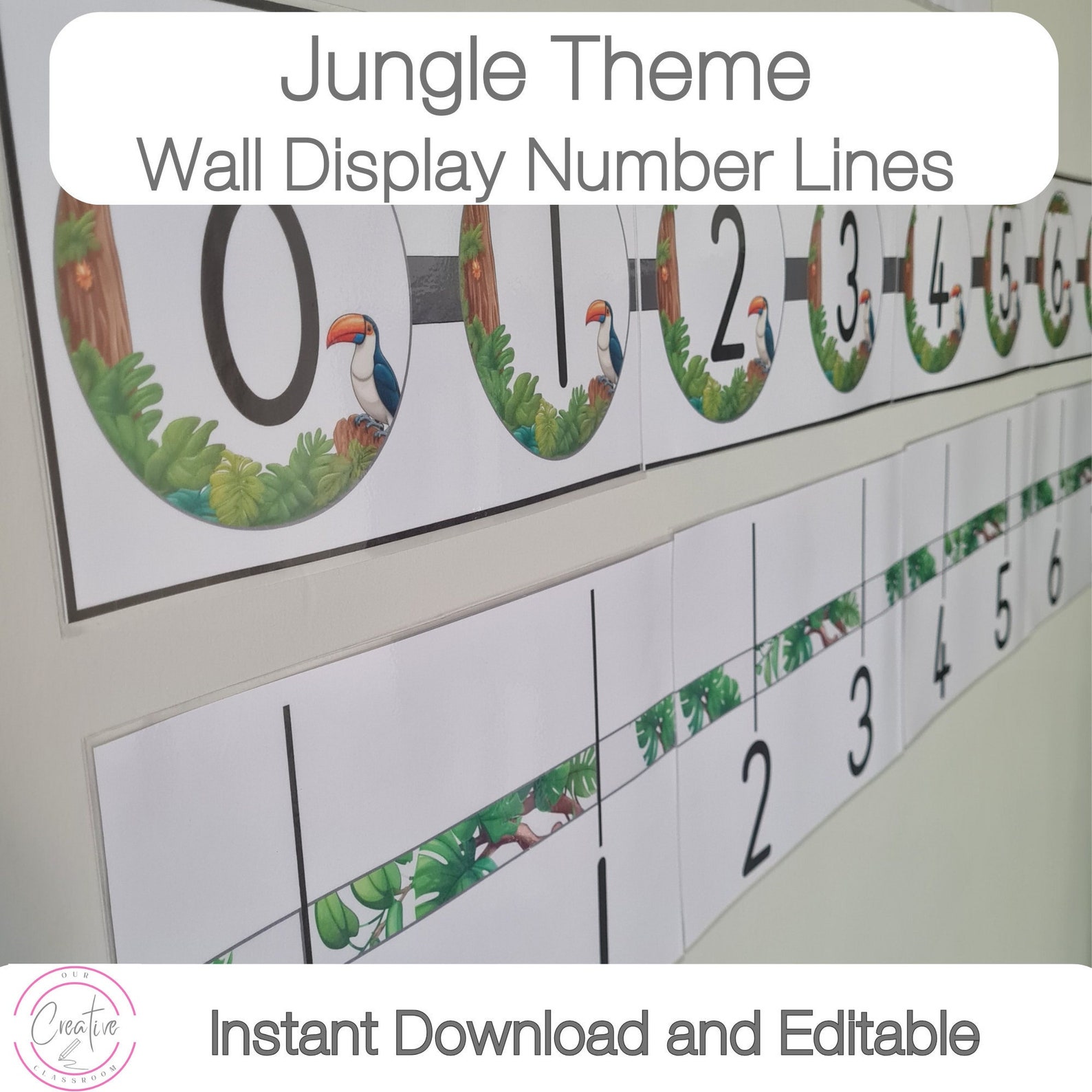 Jungle Classroom Theme | Number Lines | 2 Various Styles of Number ...