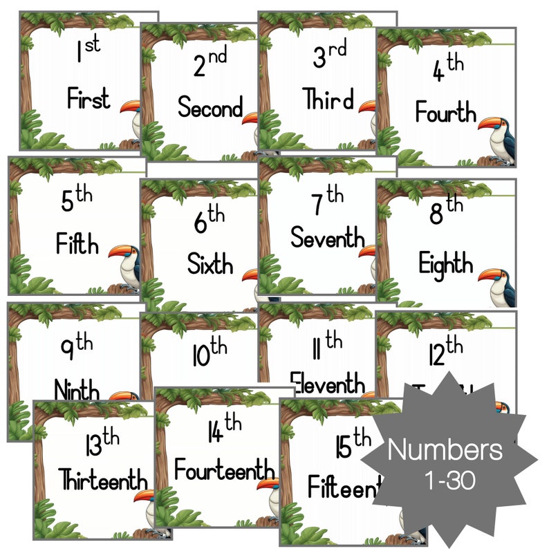 Jungle Classroom Theme | Ordinal Numbers Poster | Editable Flashcards ...