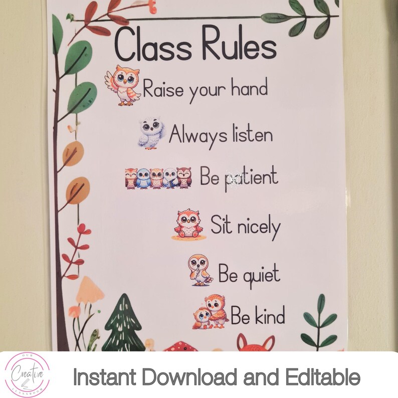 Owl Theme Classroom Rules Posters Printable - Class Rules Posters for ...
