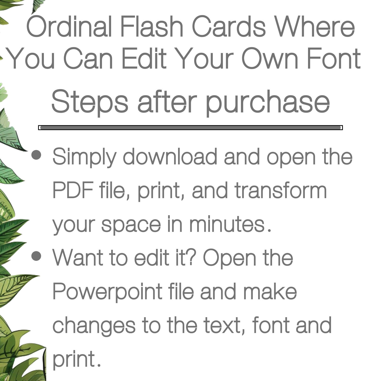 Jungle Classroom Theme | Ordinal Numbers Poster | Editable Flashcards ...