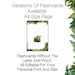 Jungle Classroom Theme | Alphabet Posters | Alphabet Class Display ...