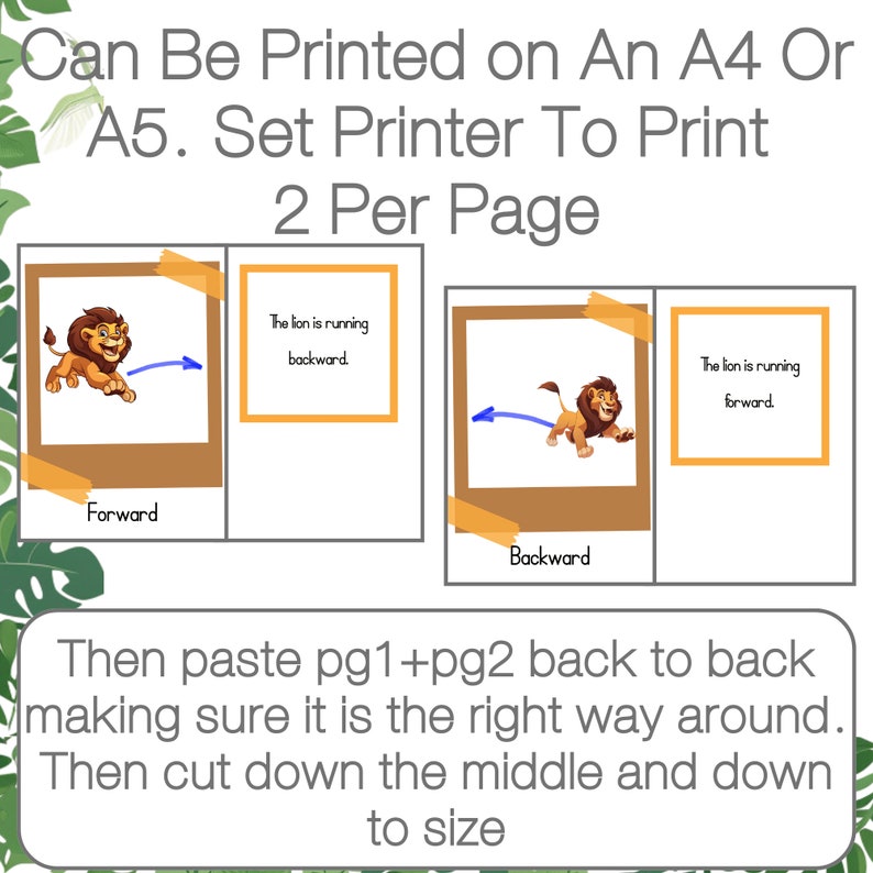 Safari Classroom Theme | Prepositions | Learning Positions With ...