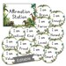 Jungle Classroom Affirmation Station and Feelings Chart for Kids ...