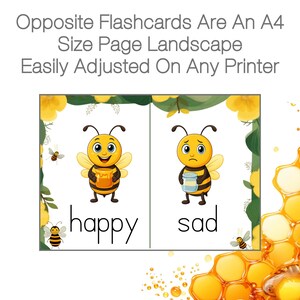 Bee Theme Classroom | Opposite Flashcards | Learning Antonyms ...