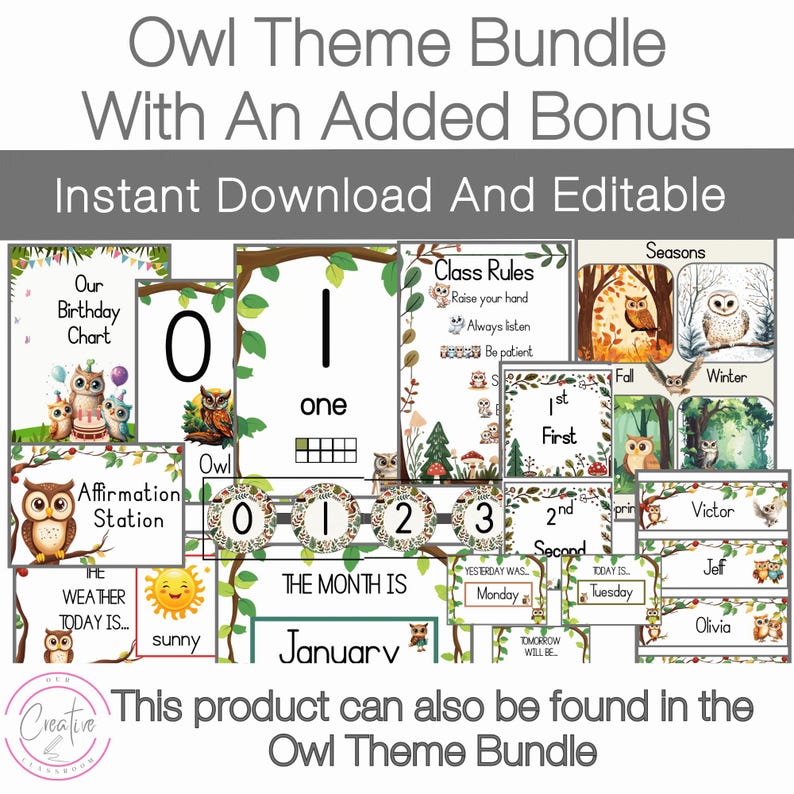 Owl Theme Classroom | Ordinal Numbers Poster | Editable Flashcards ...