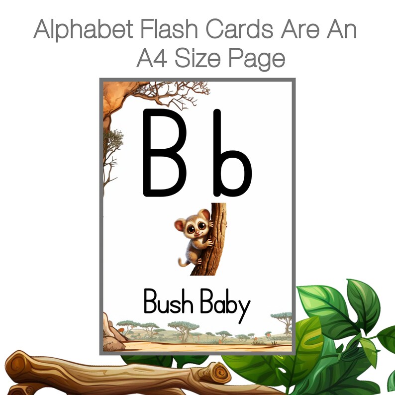 Safari Theme Alphabet Flash Cards PDF Printable Number Flash Cards ...