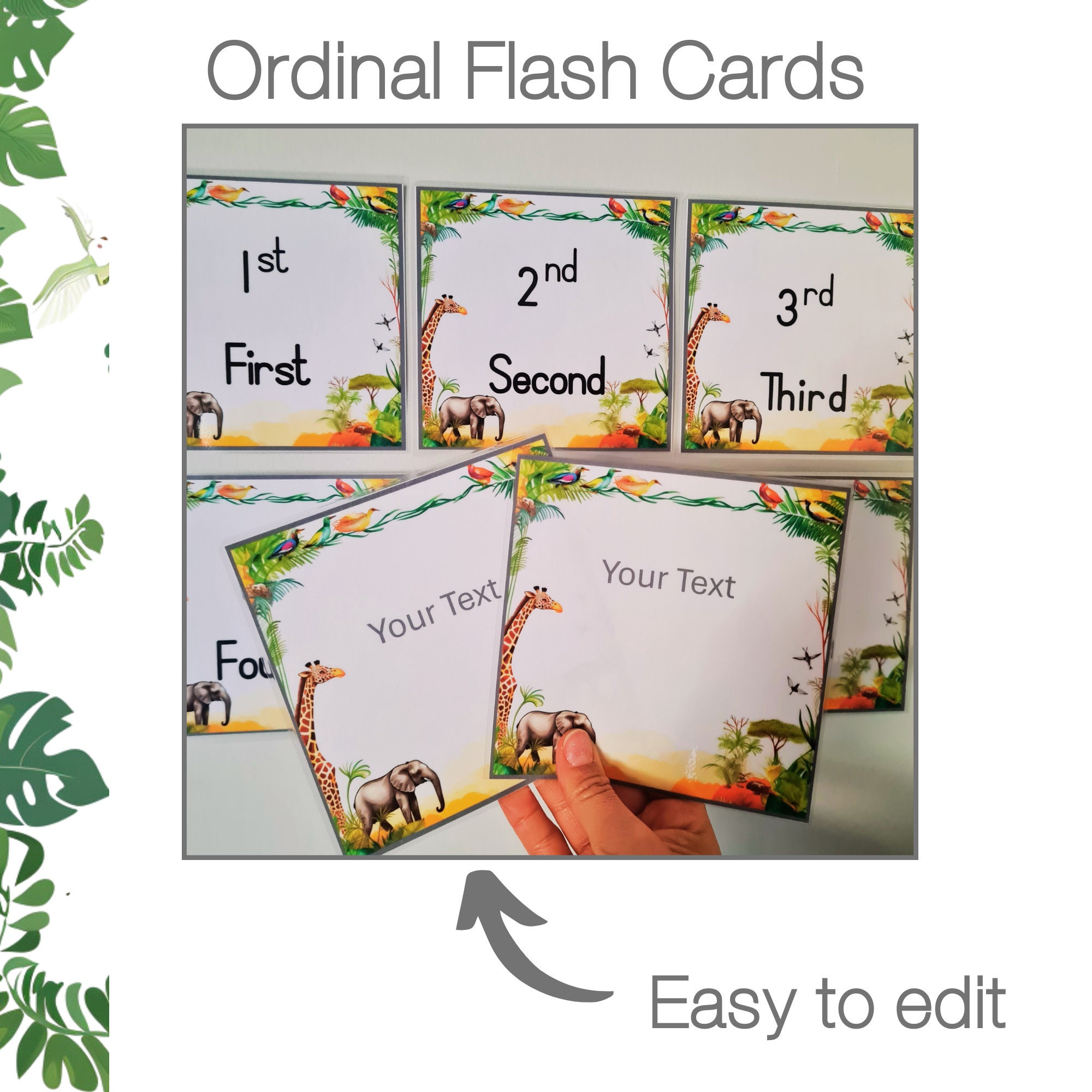 Safari Classroom Theme Ordinal Numbers Poster Editable Flashcards ...