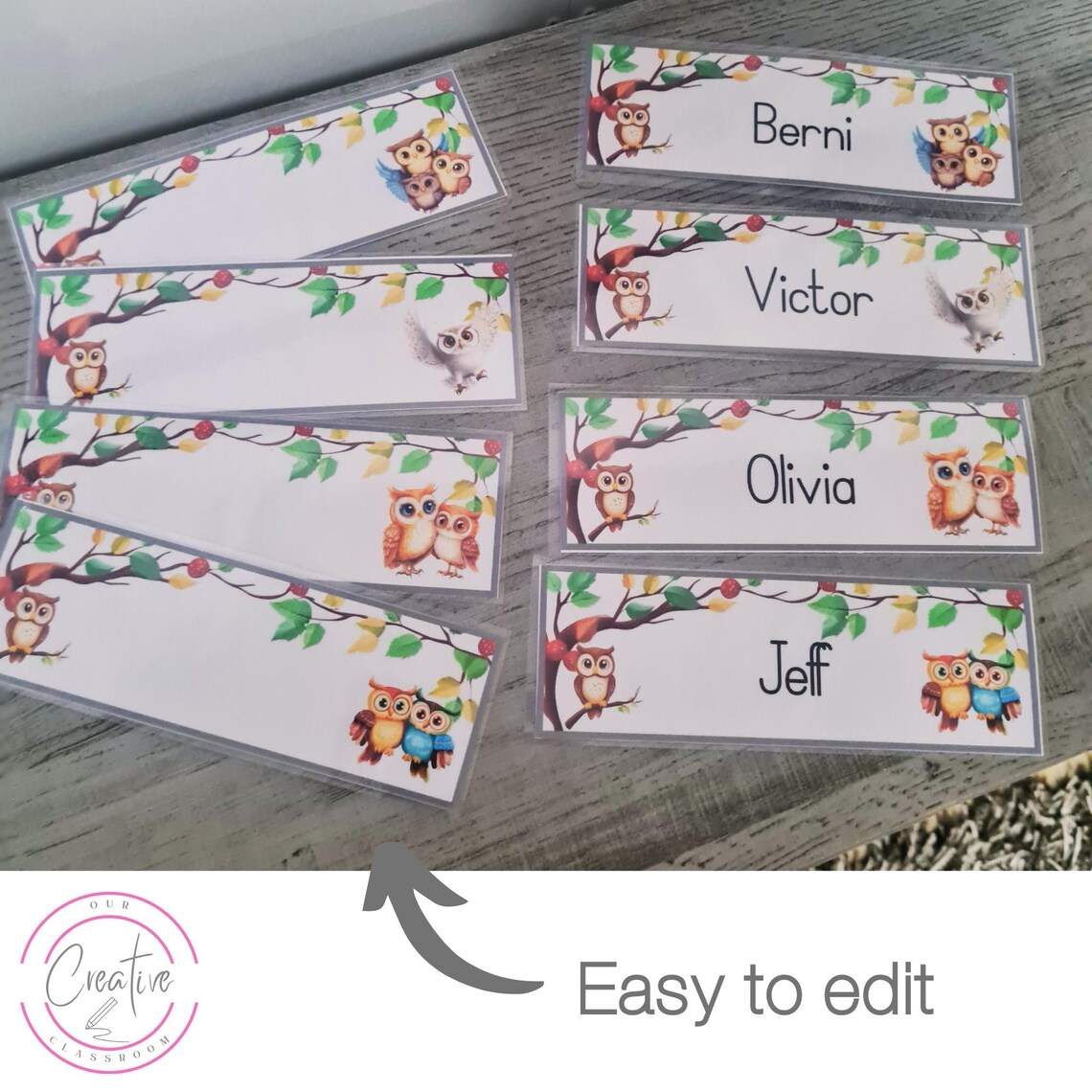Owl Theme Classroom Name Tags Printable - Name Tags for Little Learners ...