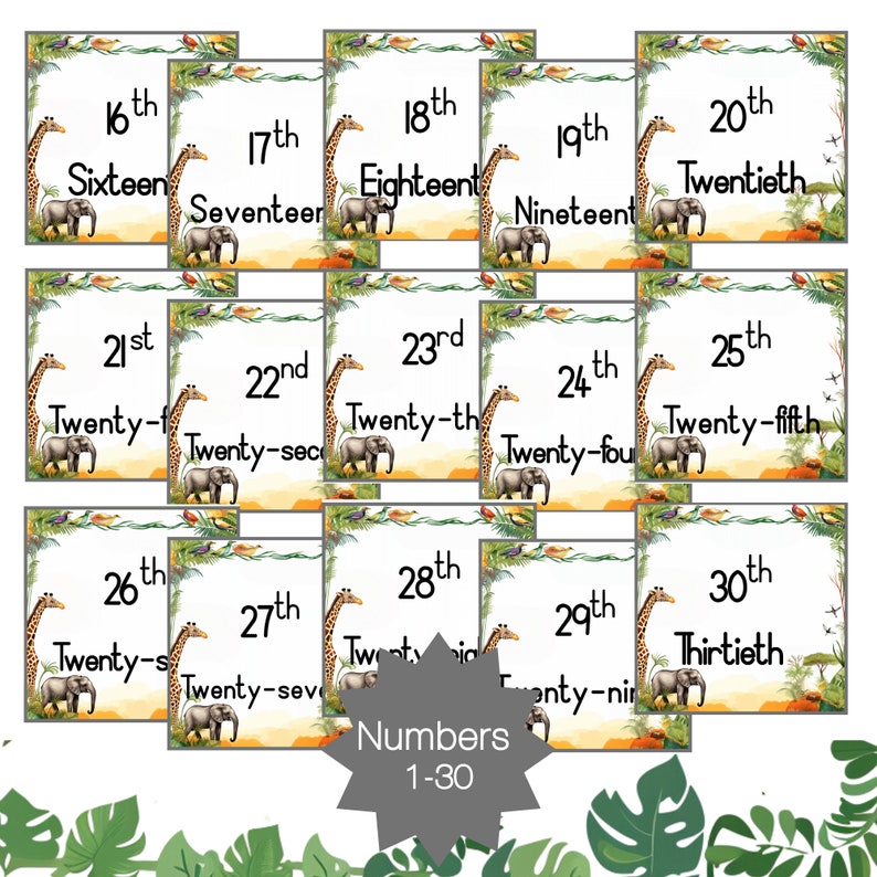 Safari Classroom Theme | Ordinal Numbers Poster | Editable Flashcards ...