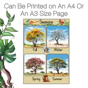 Safari Theme Classroom Kids Weather Chart Printable - All Seasons ...