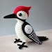 Woodpecker Amigurumi Crochet Pattern PDF, Realistic Bird Toy, DIY ...