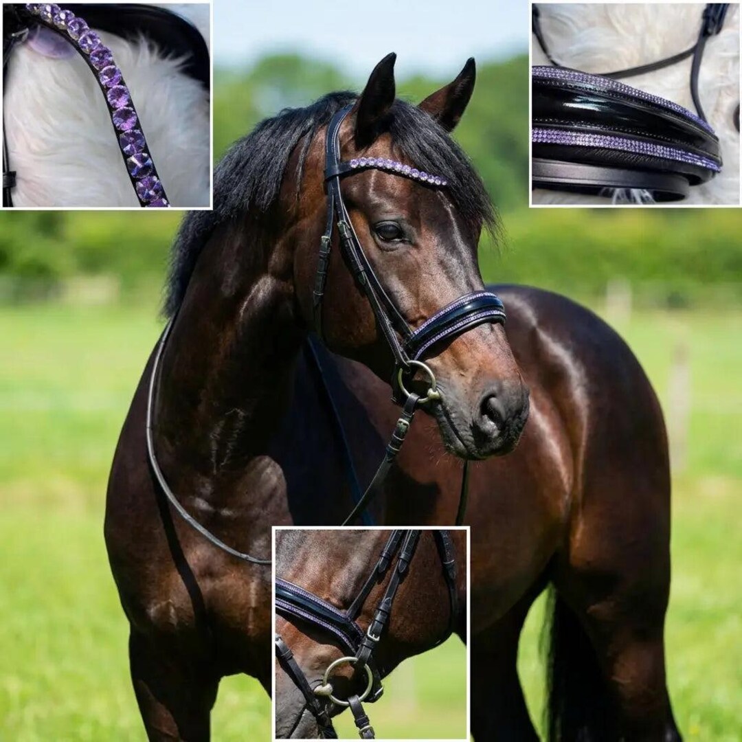 Crystal Bridle "purple Elegance" - Etsy
