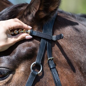 Anatomical Bitless Bridle With Quick Change Crystal Browband and ...