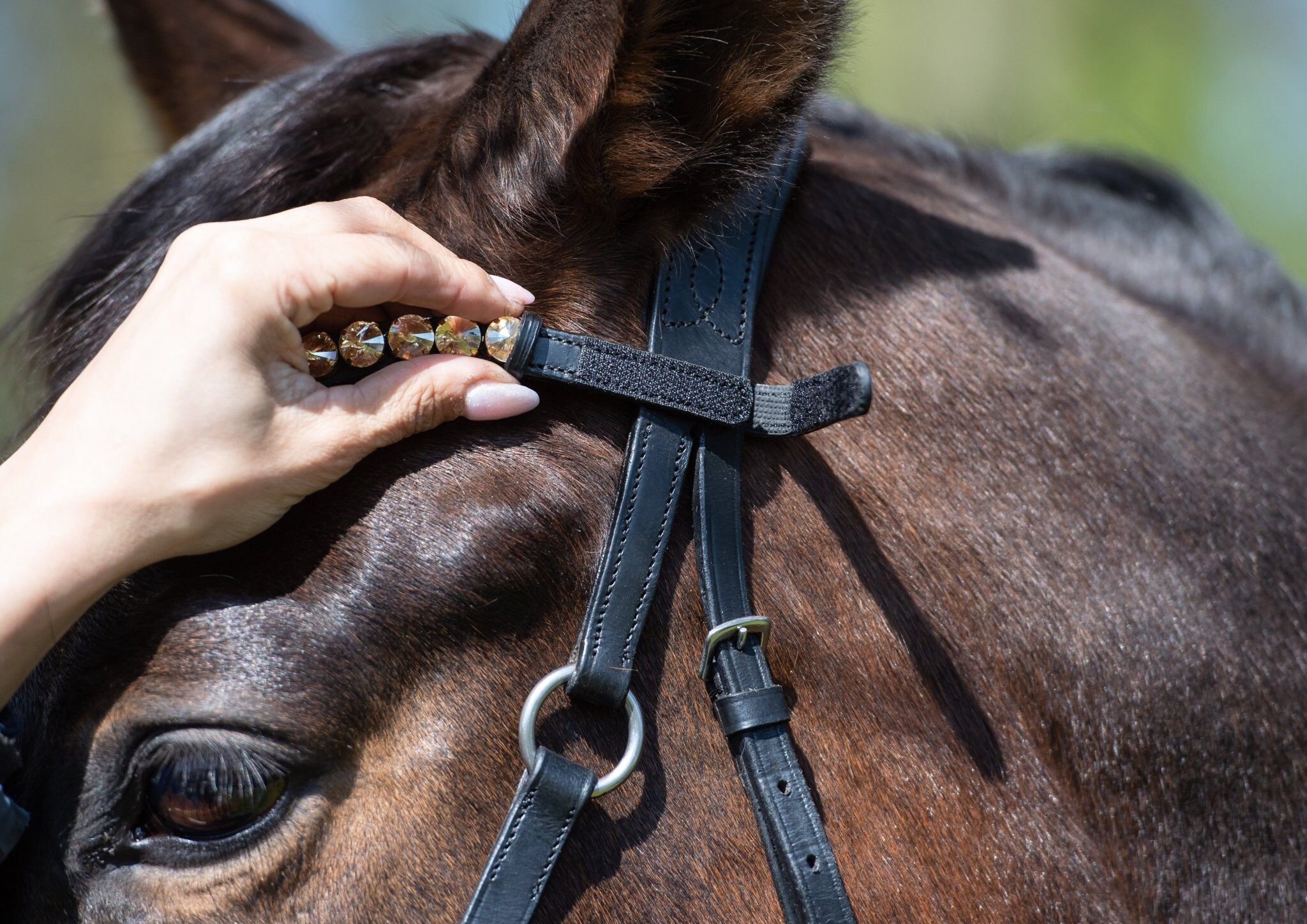 Anatomical Bitless Bridle With Quick Change Crystal Browband and ...