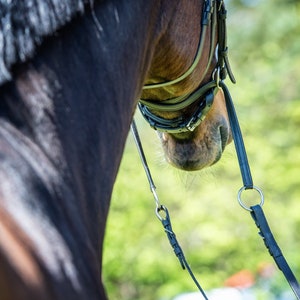 Anatomical Bitless Bridle With Quick Change Crystal Browband and ...