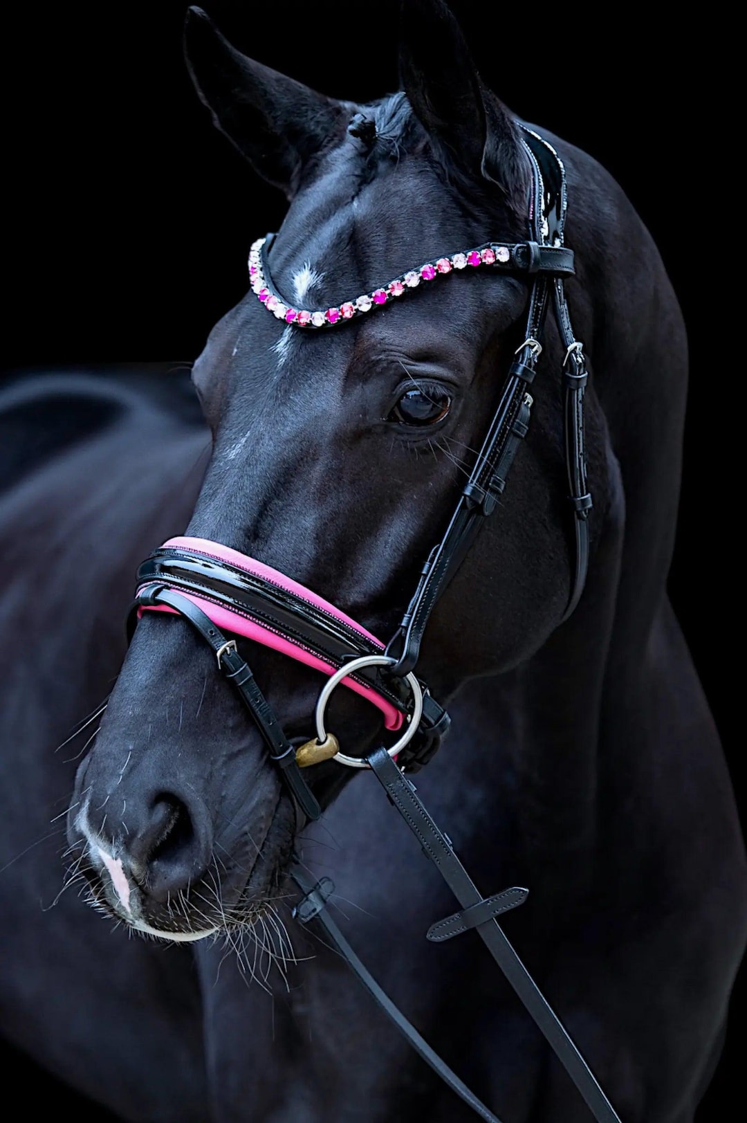 Candy Rose Bridle /pink Bridle/ Dressage /glitter Bridle /patent ...