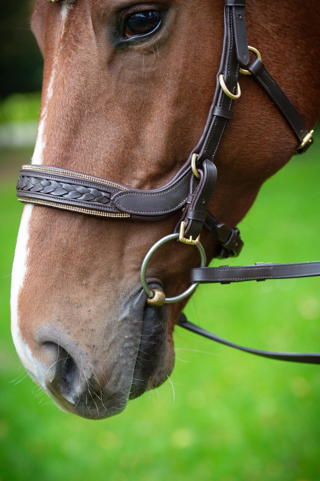 Midnight Bridle/ Braided Leather/ Gold Brown or Black Black Options ...