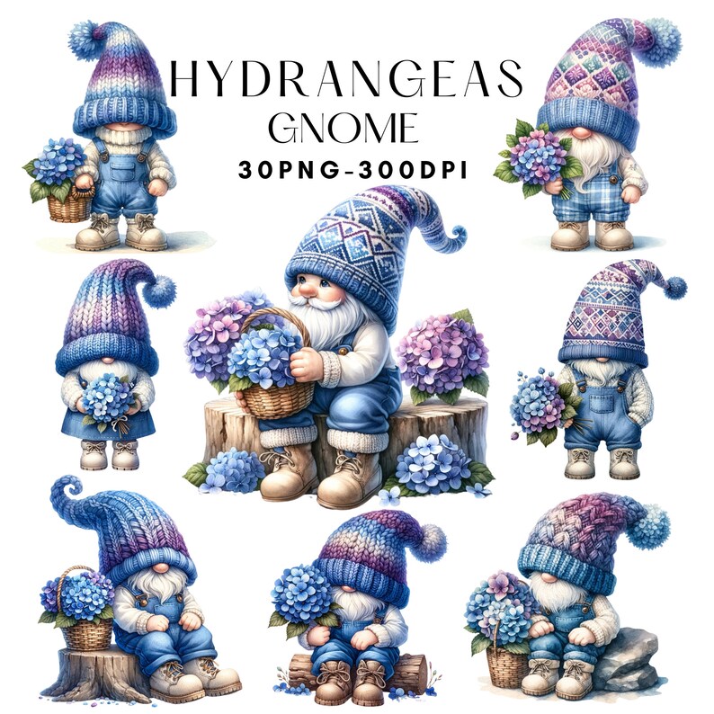 Watercolor Hydrangeas Gnomes Clipart, Cute Floral Gnome, Spring Gnomes ...