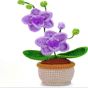 Flower Potted Plants DIY Crochet Kit for Beginners | Flower Crochet ...