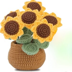 Flower Potted Plants DIY Crochet Kit for Beginners | Flower Crochet ...