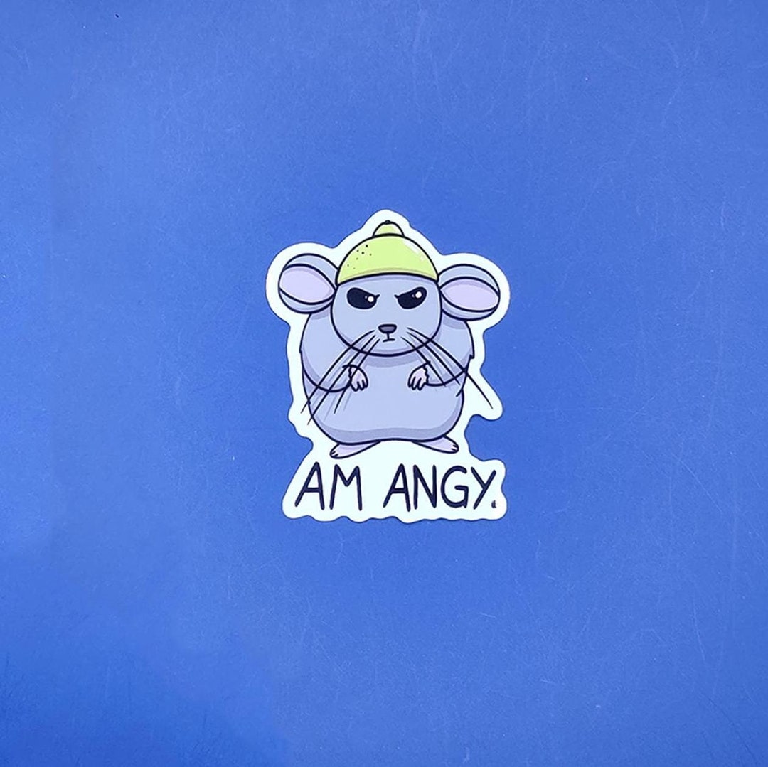 Angy | Vinyl Sticker | Funny Sticker | Chinchilla | Meme - Etsy