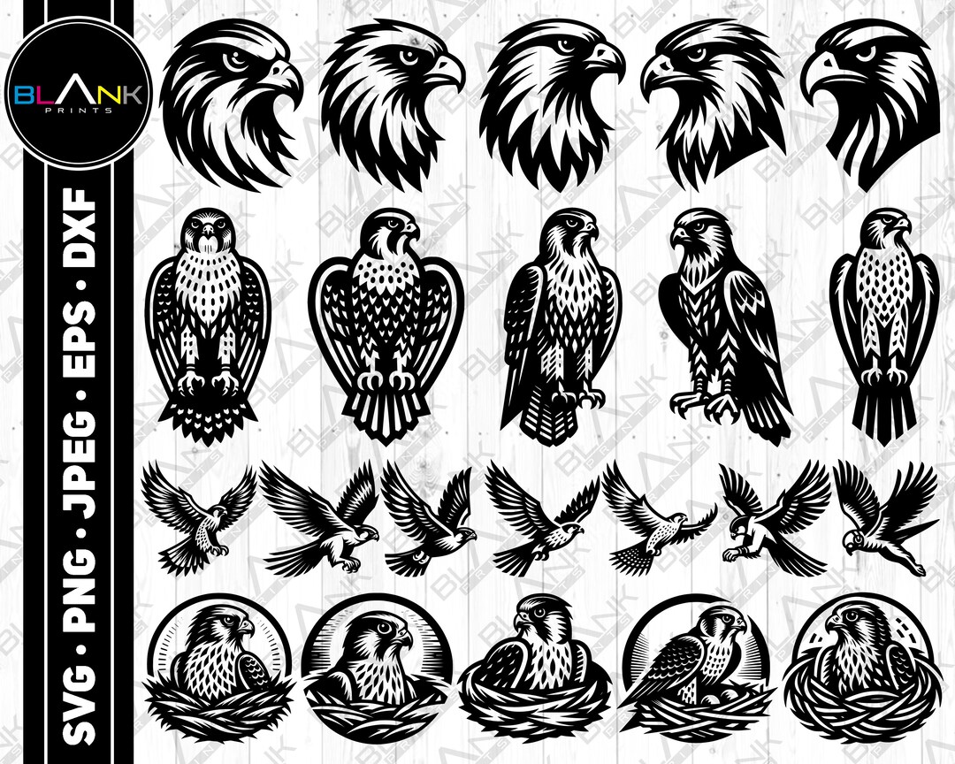 Falcon Bundle Svg Png Jpeg Eps Dxf Vector Bundle Silhouette Cricut ...