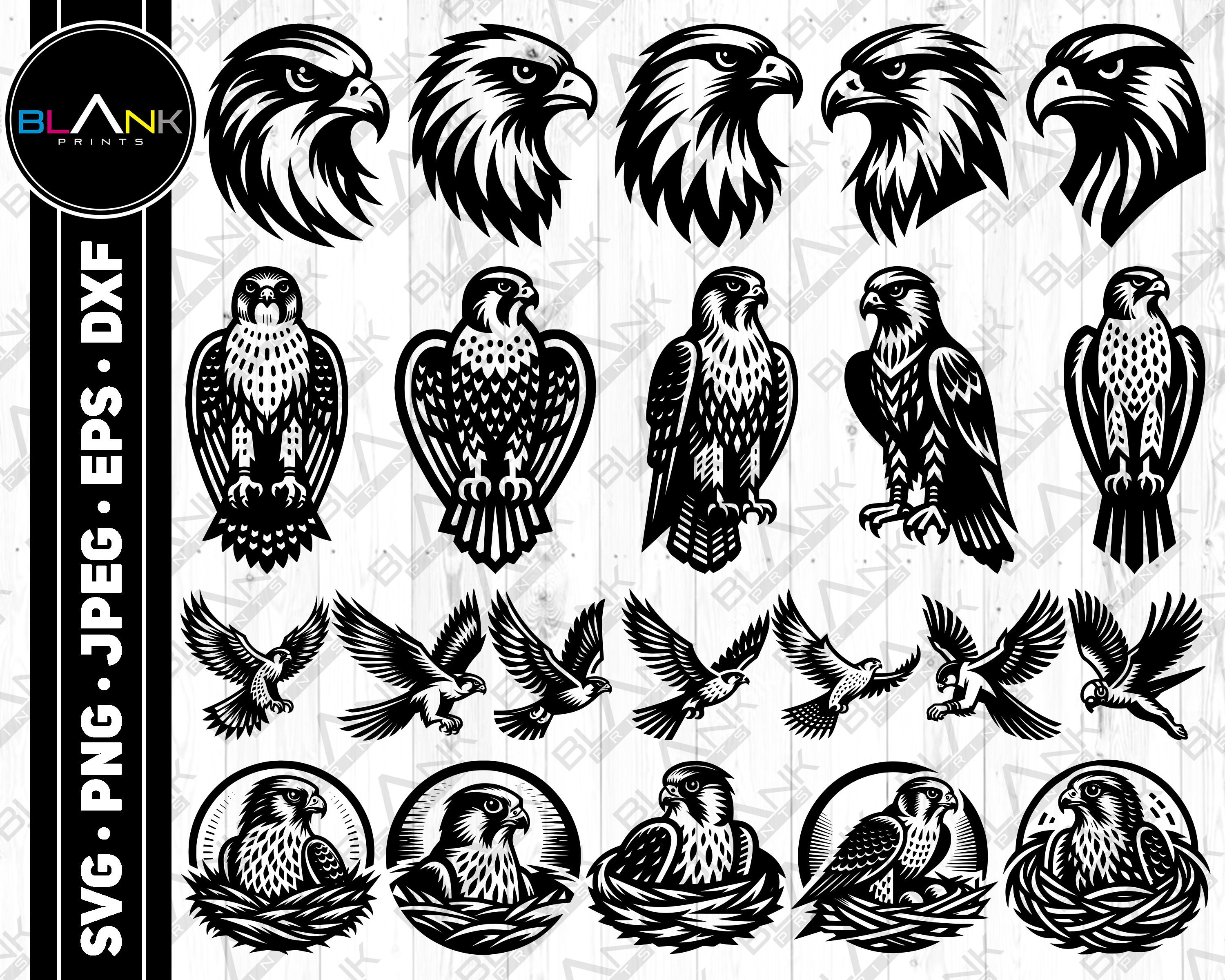 Falcon Bundle Svg Png Jpeg Eps Dxf Vector Bundle Silhouette Cricut ...