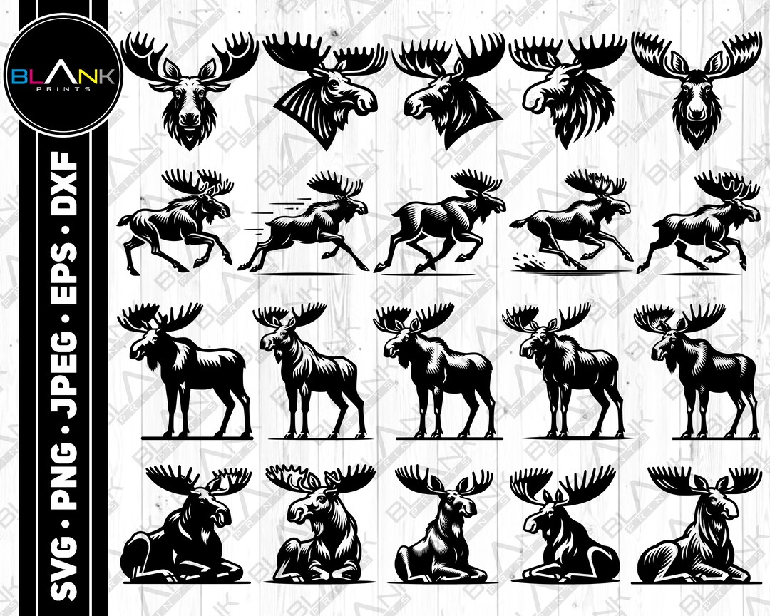 Moose Vector Art Bundle: Svg, Png, Jpg, Eps, Dxf (digital Download) - Etsy