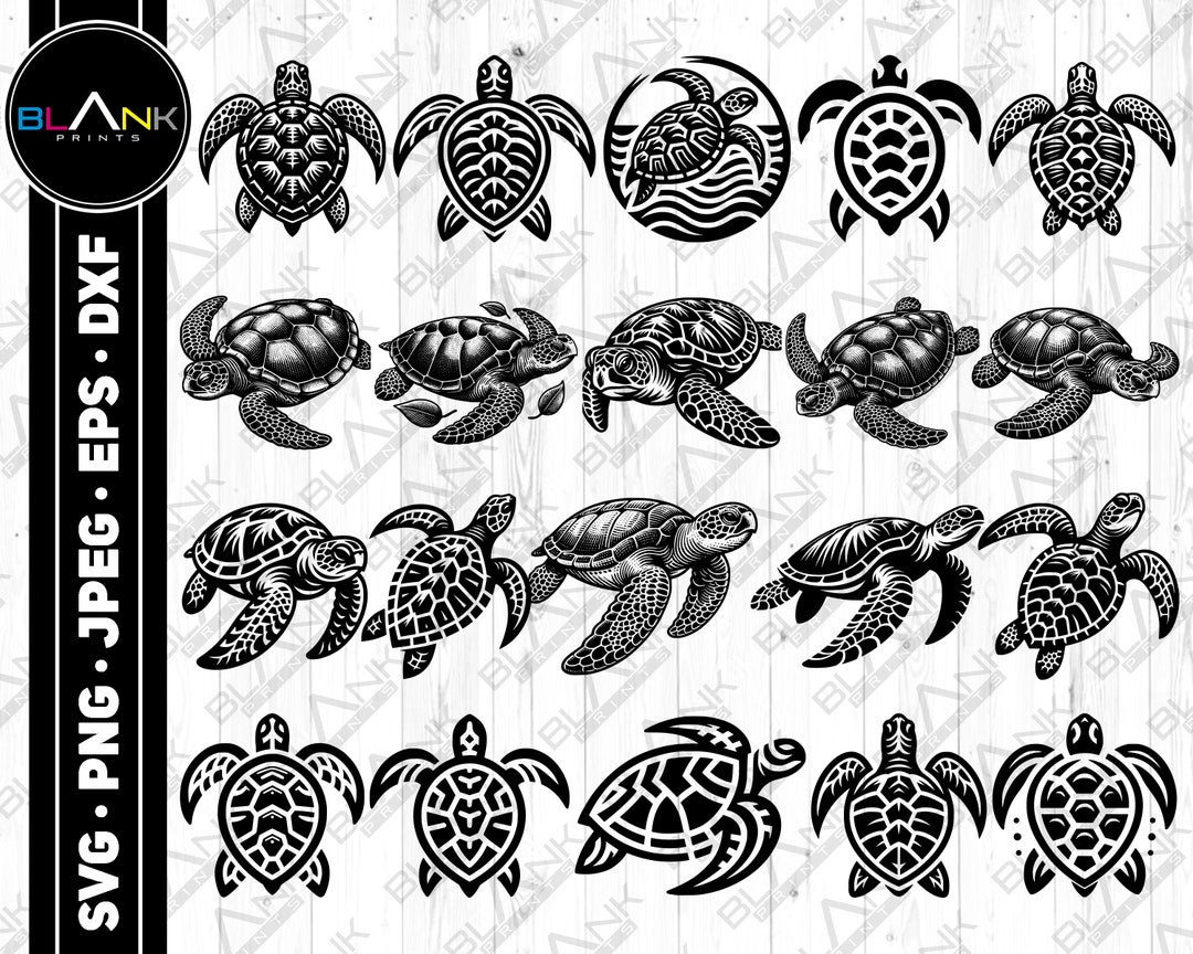 Turtle Bundle Svg Png Jpeg Eps Dxf Bundle Silhouette Cricut Commercial ...